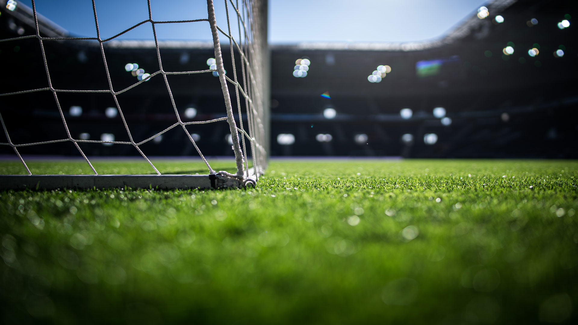 Update: One year after the summary report from the “Future of ...